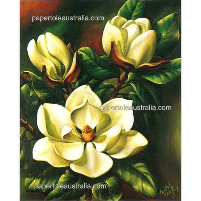 PT3184 Magnolias by Skelley (small) - Papertole Print – Scrapmatts ...